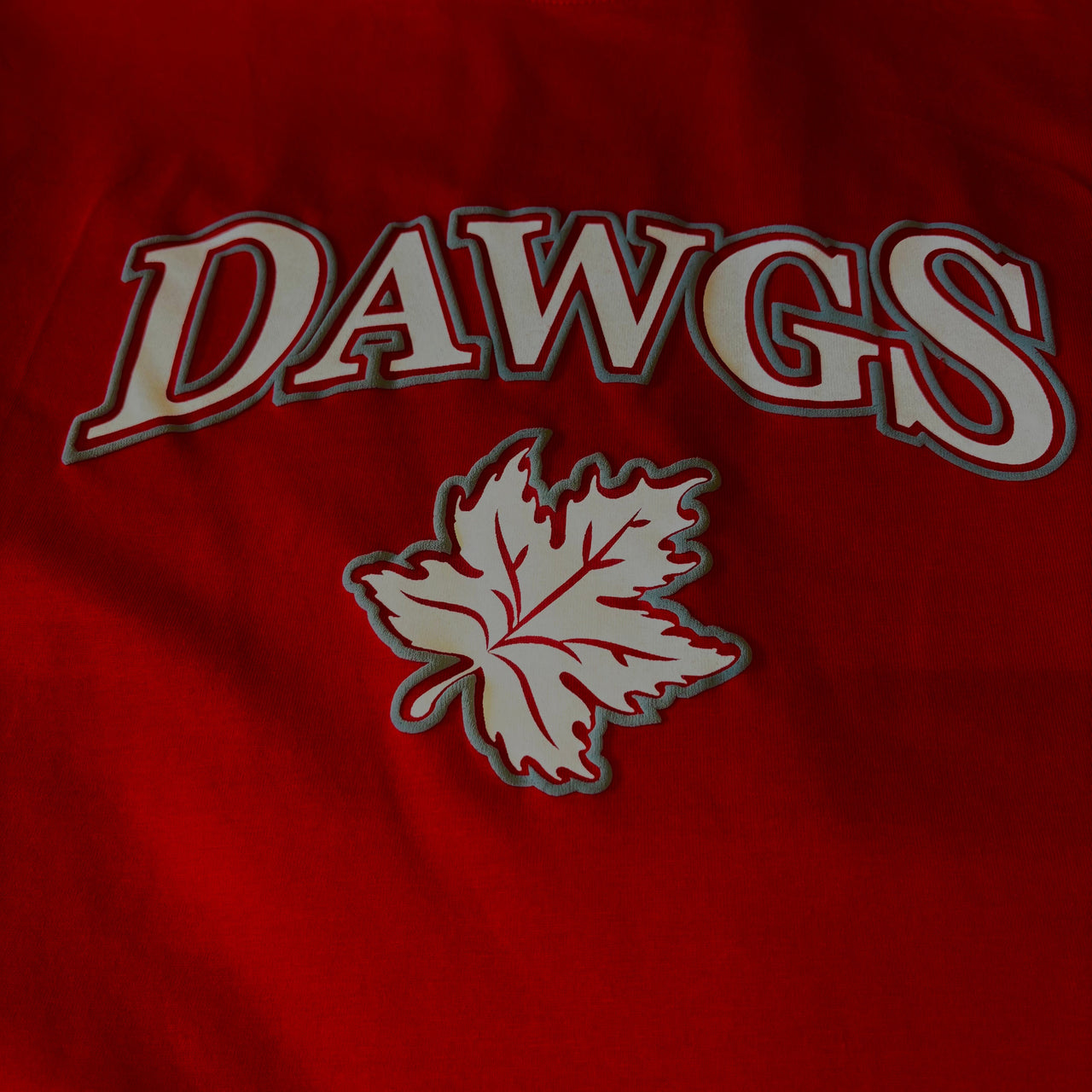 Dawgs General Store – Dawgs Fan Shop